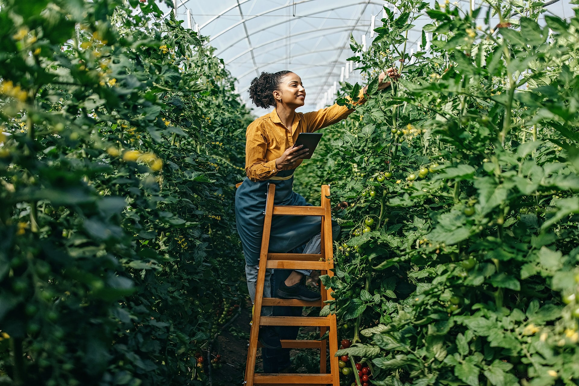 Canon Americas Lab - Crop Monitoring | Canon U.S.A., Inc.