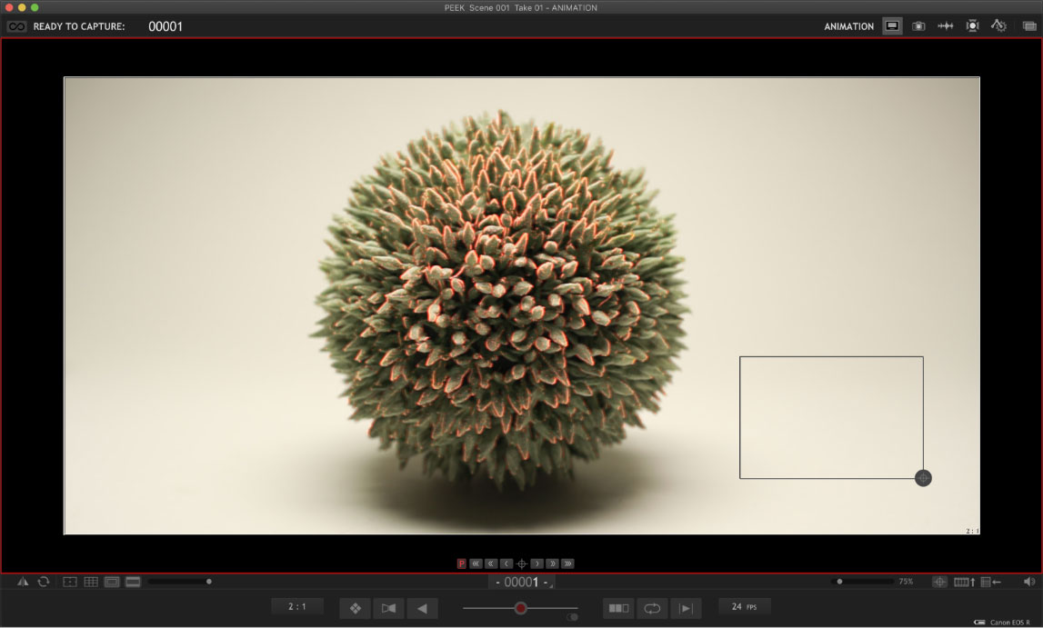 Stop Motion Animation Firmware | Canon U.S.A., Inc.