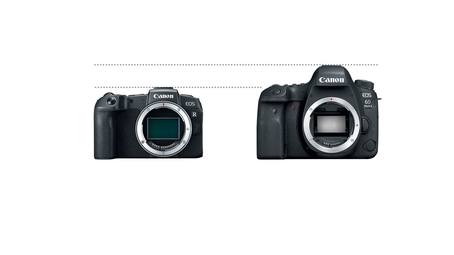 Canon Professional EOS RP Mirrorless DSLR Camera | Canon U.S.A., Inc.