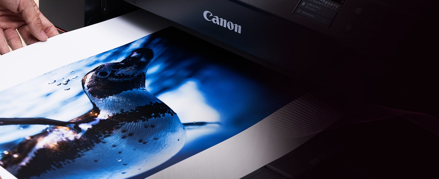 Shop Canon Pro imagePROGRAF PRO-1100 | Canon U.S.A, Inc.