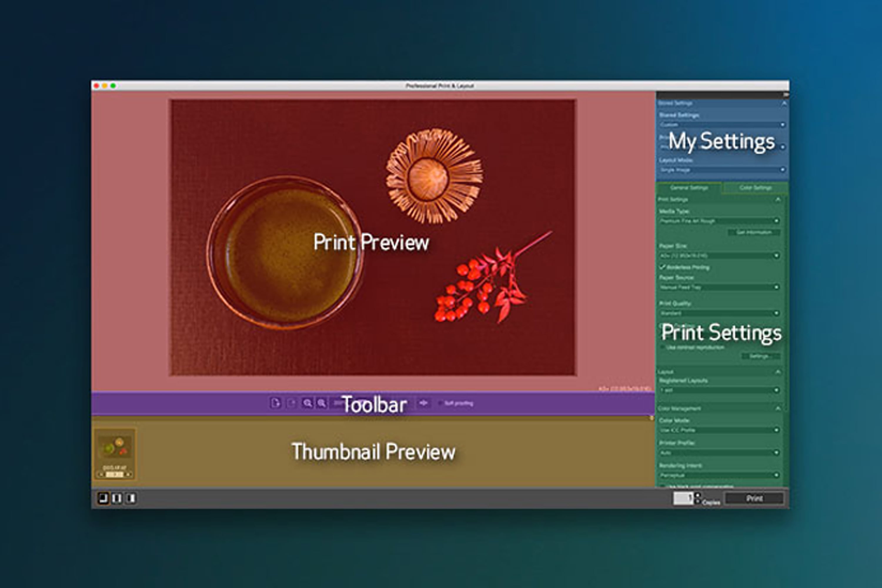 Shop Canon imagePROGRAF PRO-310 | Canon U.S.A., Inc.