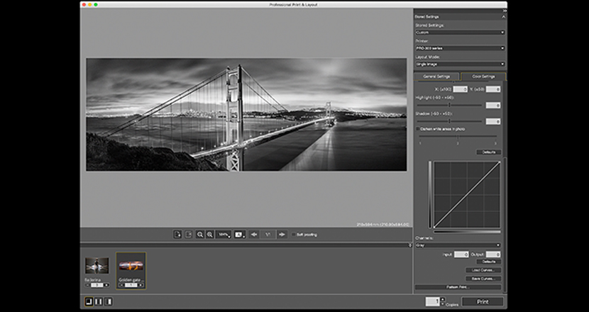 imagePROGRAF PRO-300 Professional 13" Photographic Inkjet Printer ...