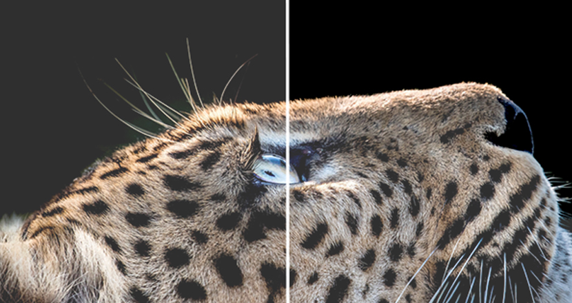 imagePROGRAF PRO-300 Professional 13" Photographic Inkjet Printer ...