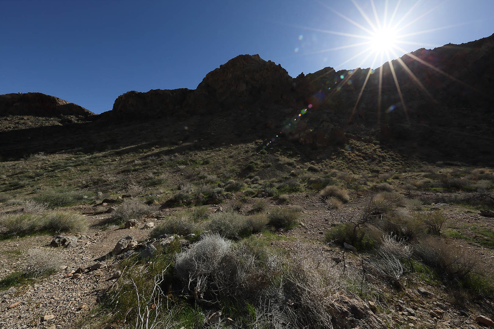 A Look at the Shutter Modes in Canon EOS Cameras | Canon U.S.A., Inc.