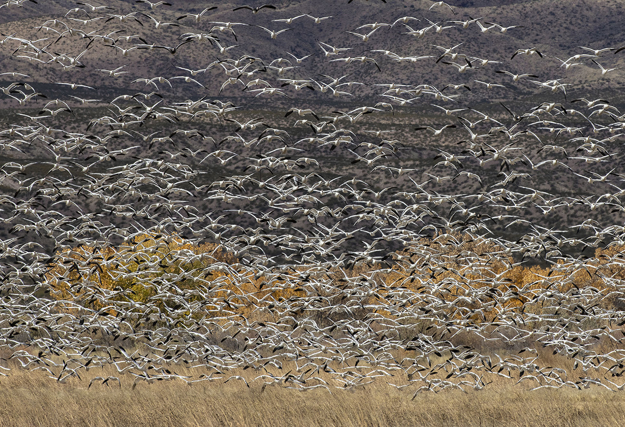 Coastal Photography with the Canon EOS R | Canon U.S.A., Inc.
