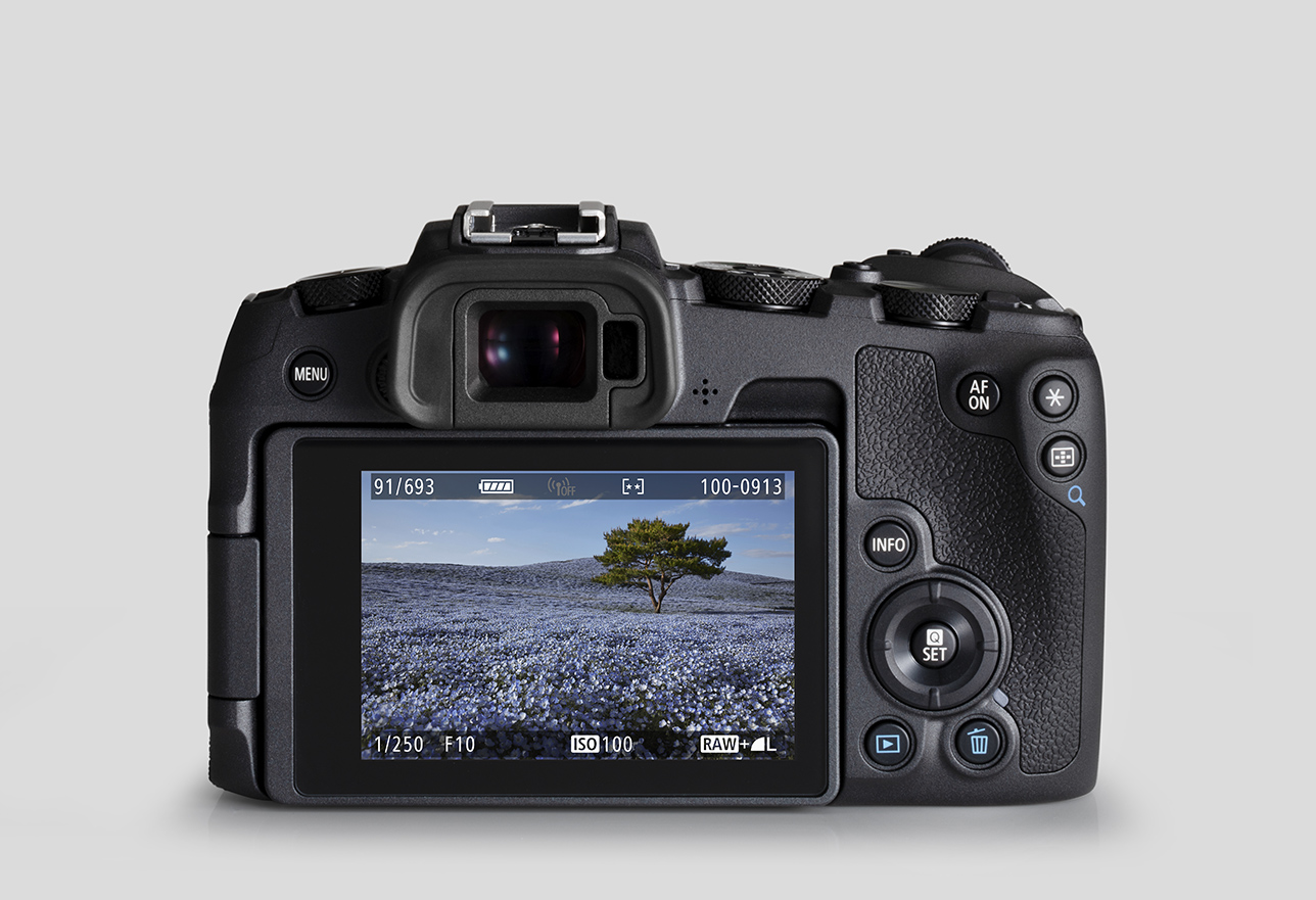 Photographing Holiday Lights | Canon U.S.A., Inc.