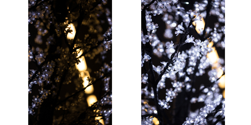 Photographing Holiday Lights | Canon U.S.A., Inc.