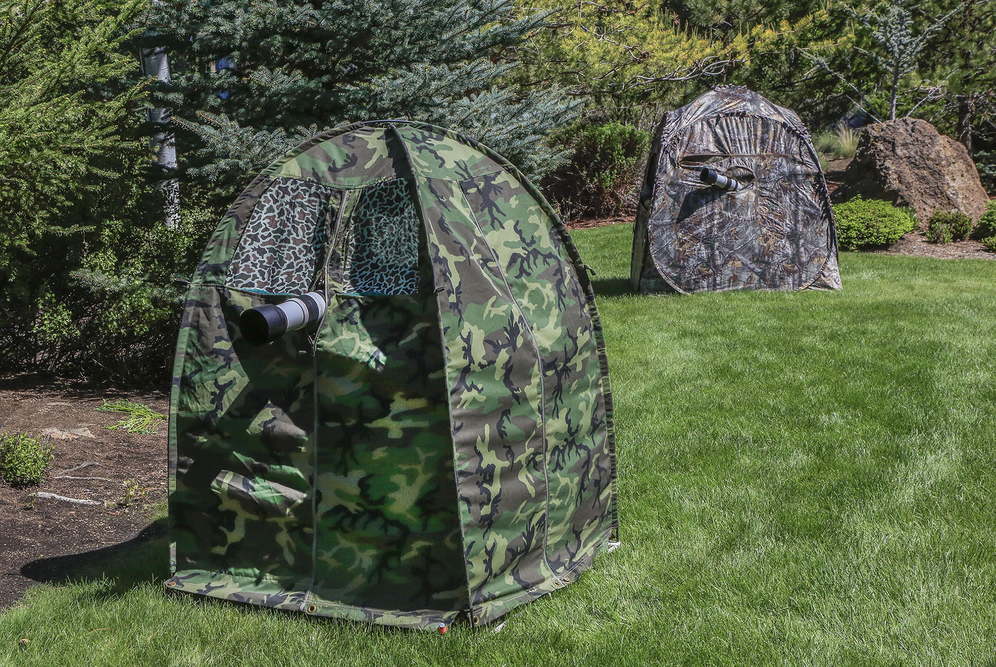 Wildlife Photography with the Canon EOS R camera | Canon U.S.A., Inc.