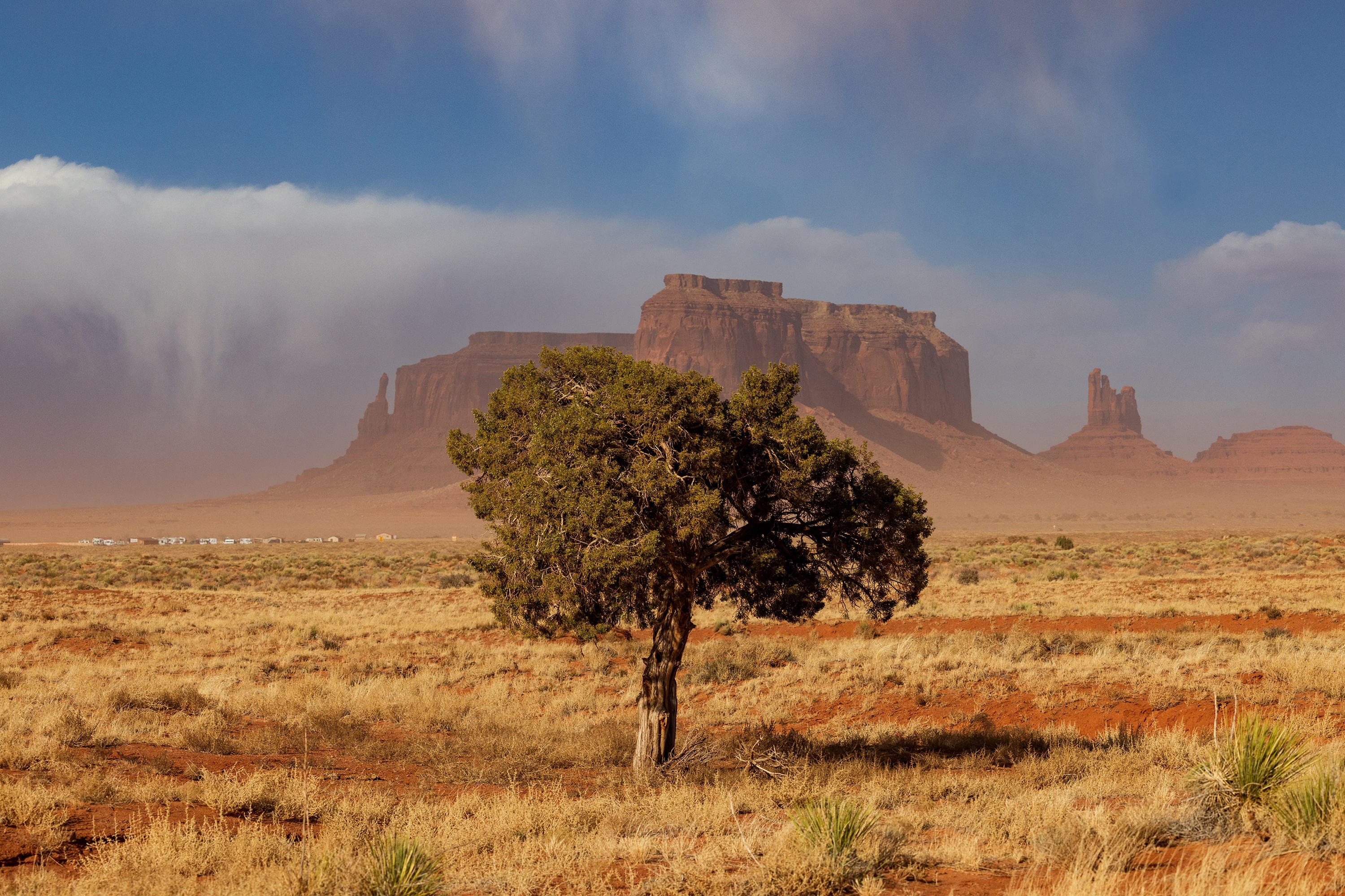 Three Amazing Landscape Lenses, Great for Both Photo and Video | Canon ...