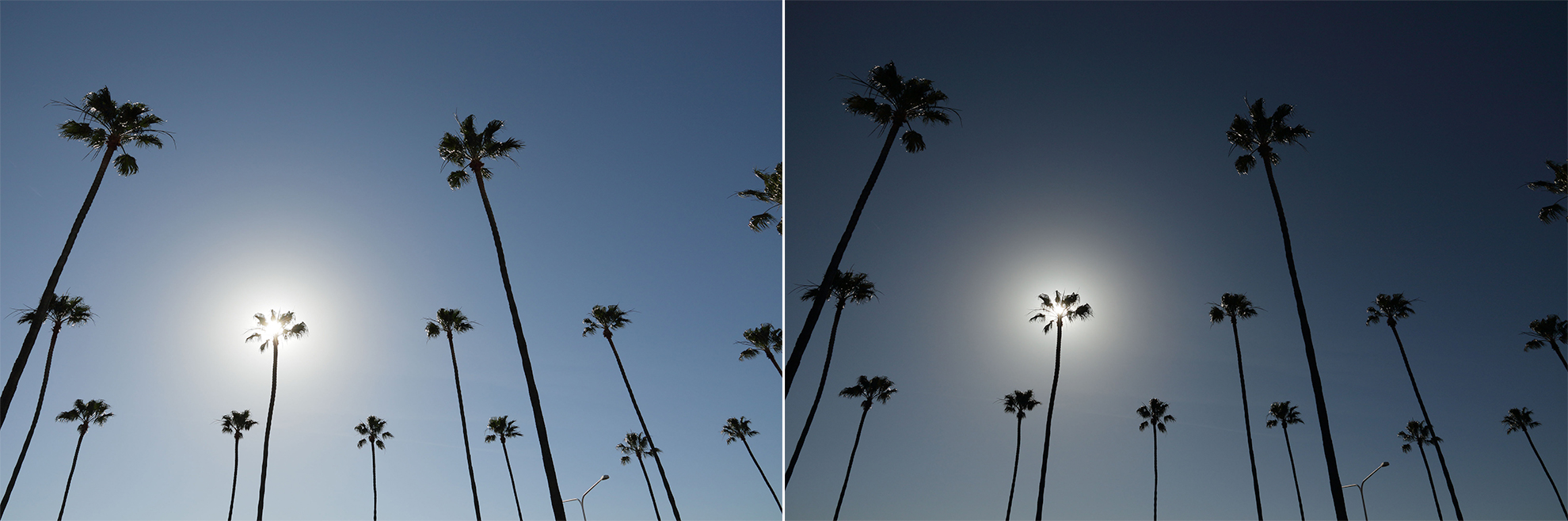 What's New: Control Ring on Canon RF Lenses | Canon U.S.A., Inc.